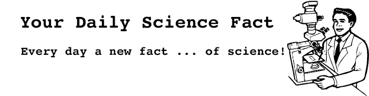 Your Daily Science Fact: February 2014