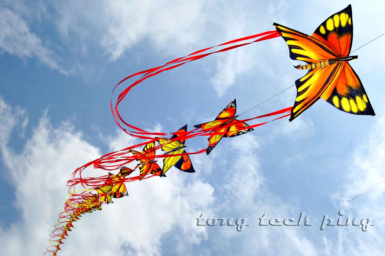 photographic world of t.p.tong: new story---7th Borneo International ...