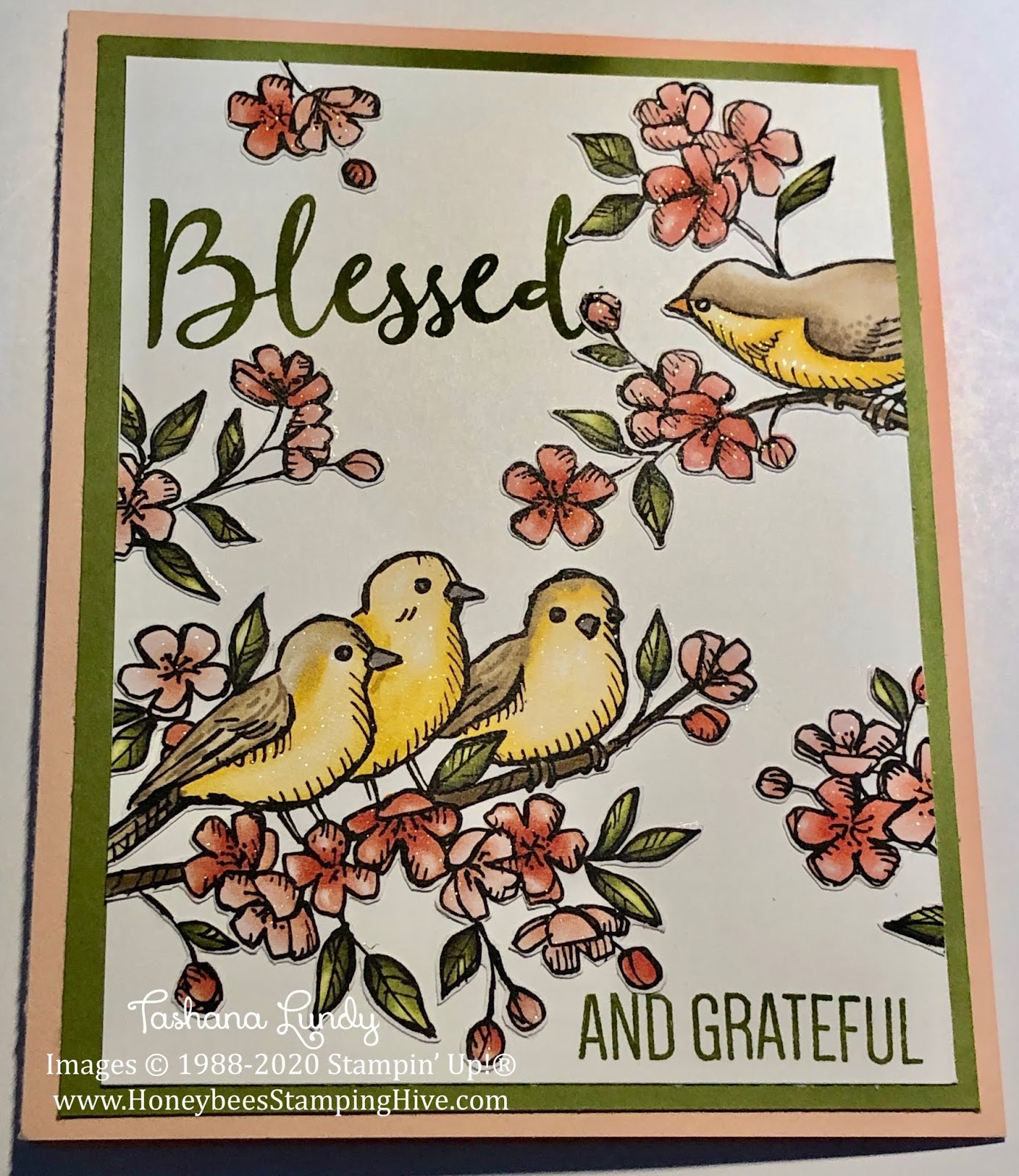 `: Blessed Bird Ballad