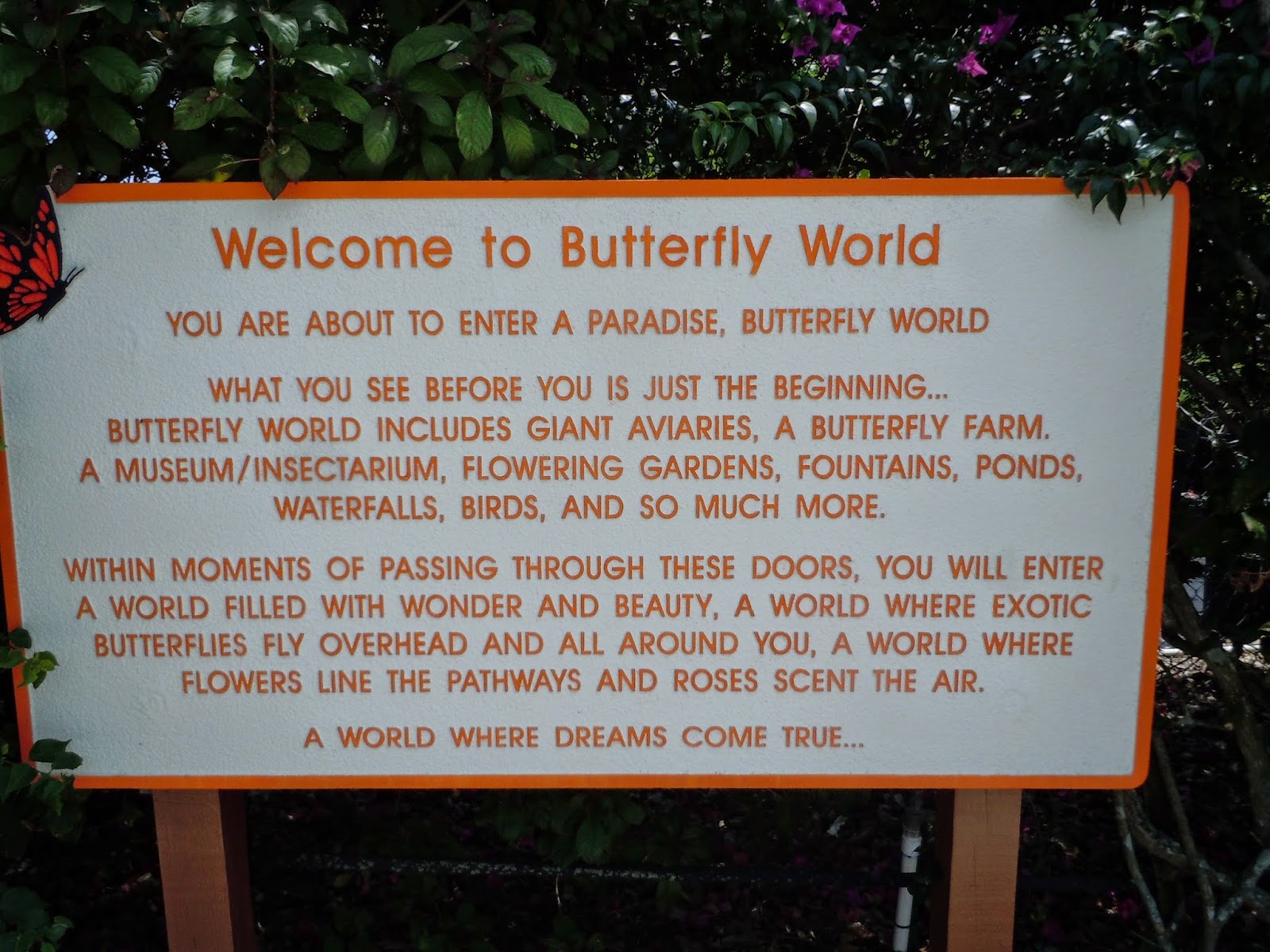 Tuấn Đoan: .Butterfly World Fort Lauderdale Florida