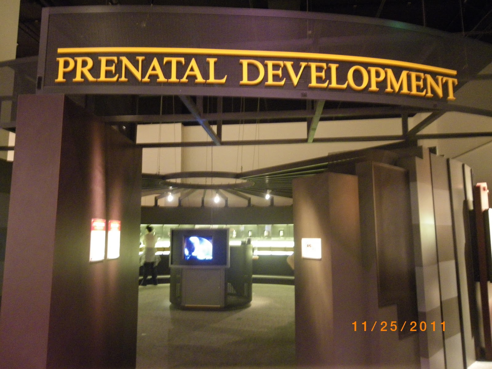 The McBurney's: Prenatal Development Exhibit at OMSI