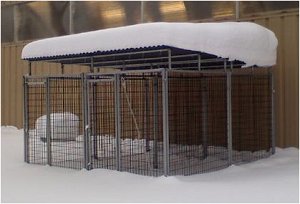 Holiday Kennels: Winter Preparations for Your Outdoor Dog