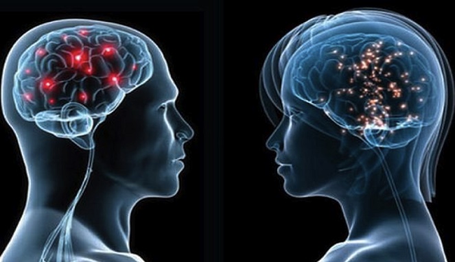 5 Keistimewaan Orang Yang Berilmu - Kisah dan Ajaran Teladan Muslim