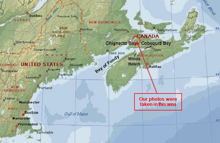 Ron and Kathy's Mid Life Adventures: The Amazing Bay of Fundy