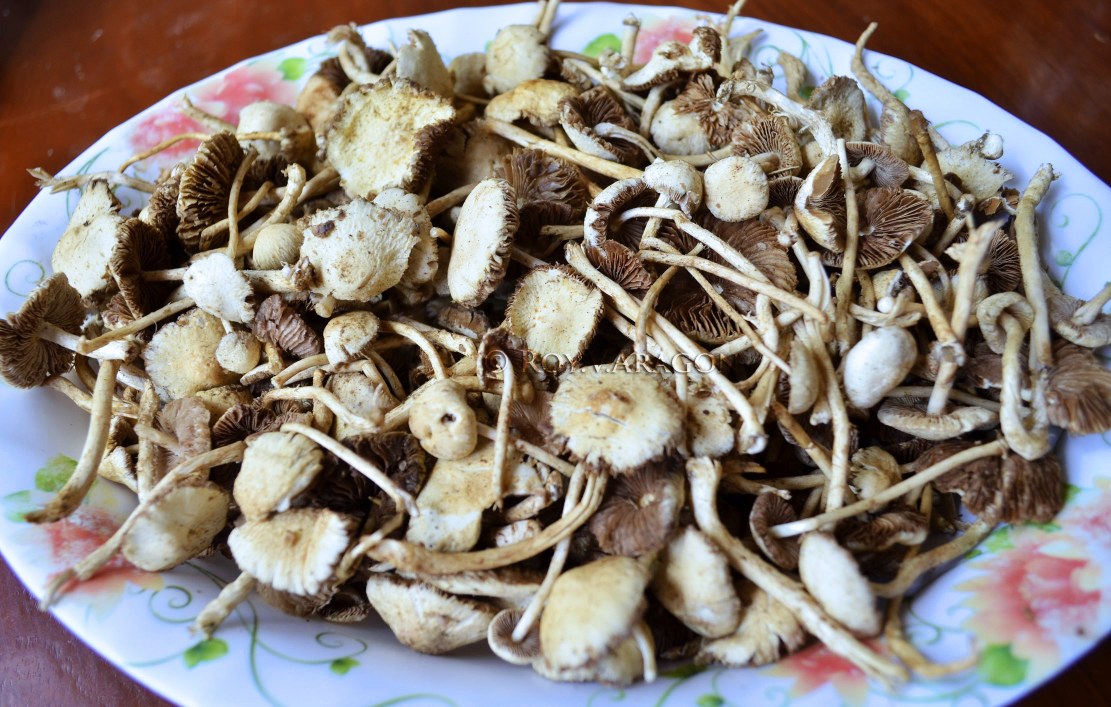 PINAKBET REPUBLIC: dinengdeng nga uong (luklukanos) ken uggot-marunggay ...