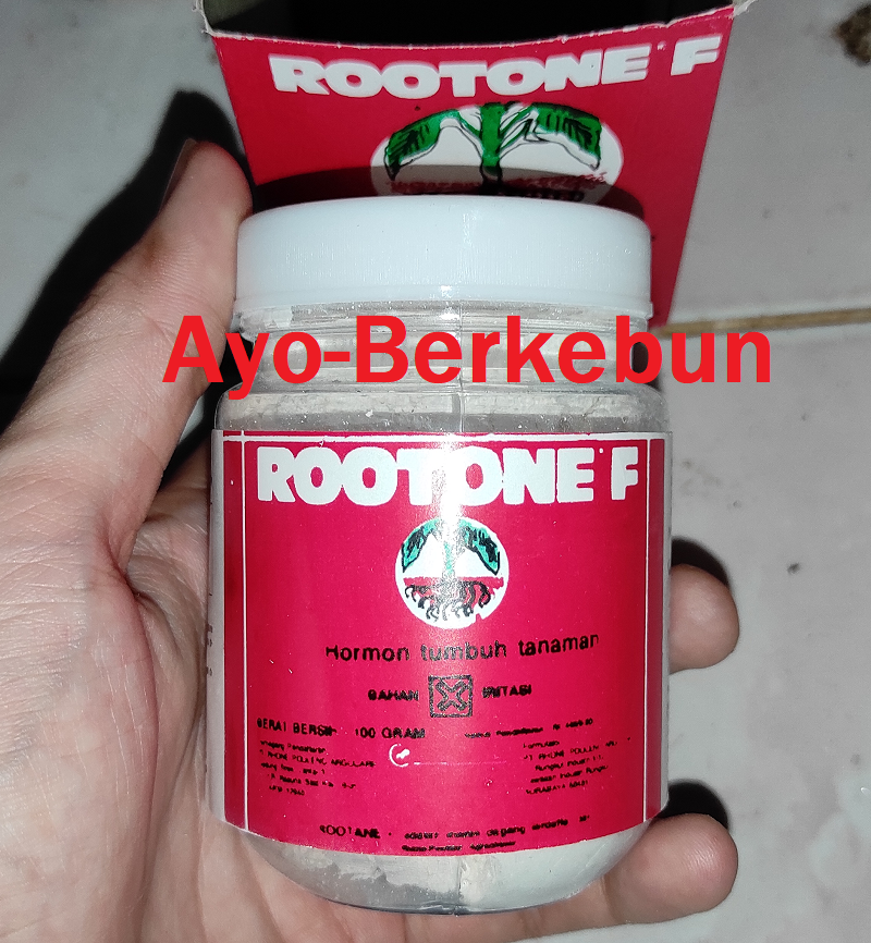 Hormon Akar / Perangsang Akar Rootone F - Ayo-Berkebun