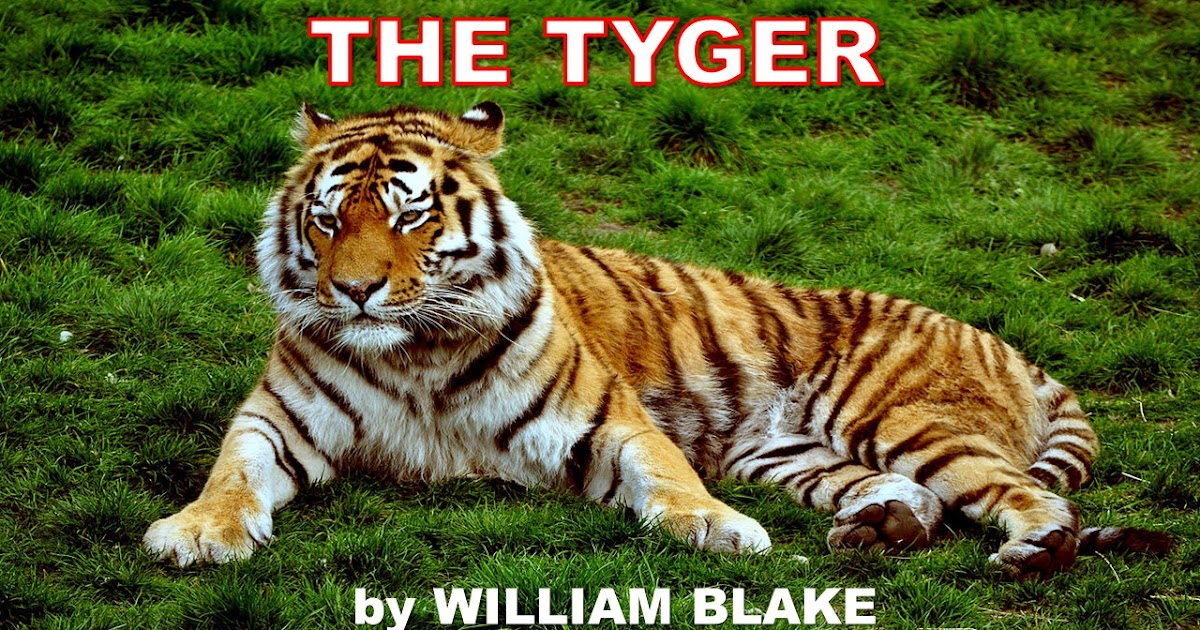 THE TYGER by WILLIAM BLAKE (Summary)