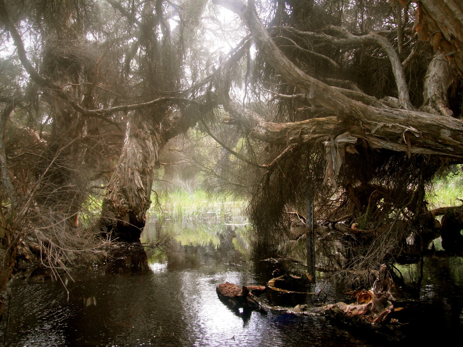 Mike Doran's Windy City Window Cleaning Perth 0403774516