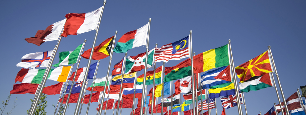 Welcome to Grow2: Why are International Resources Important?