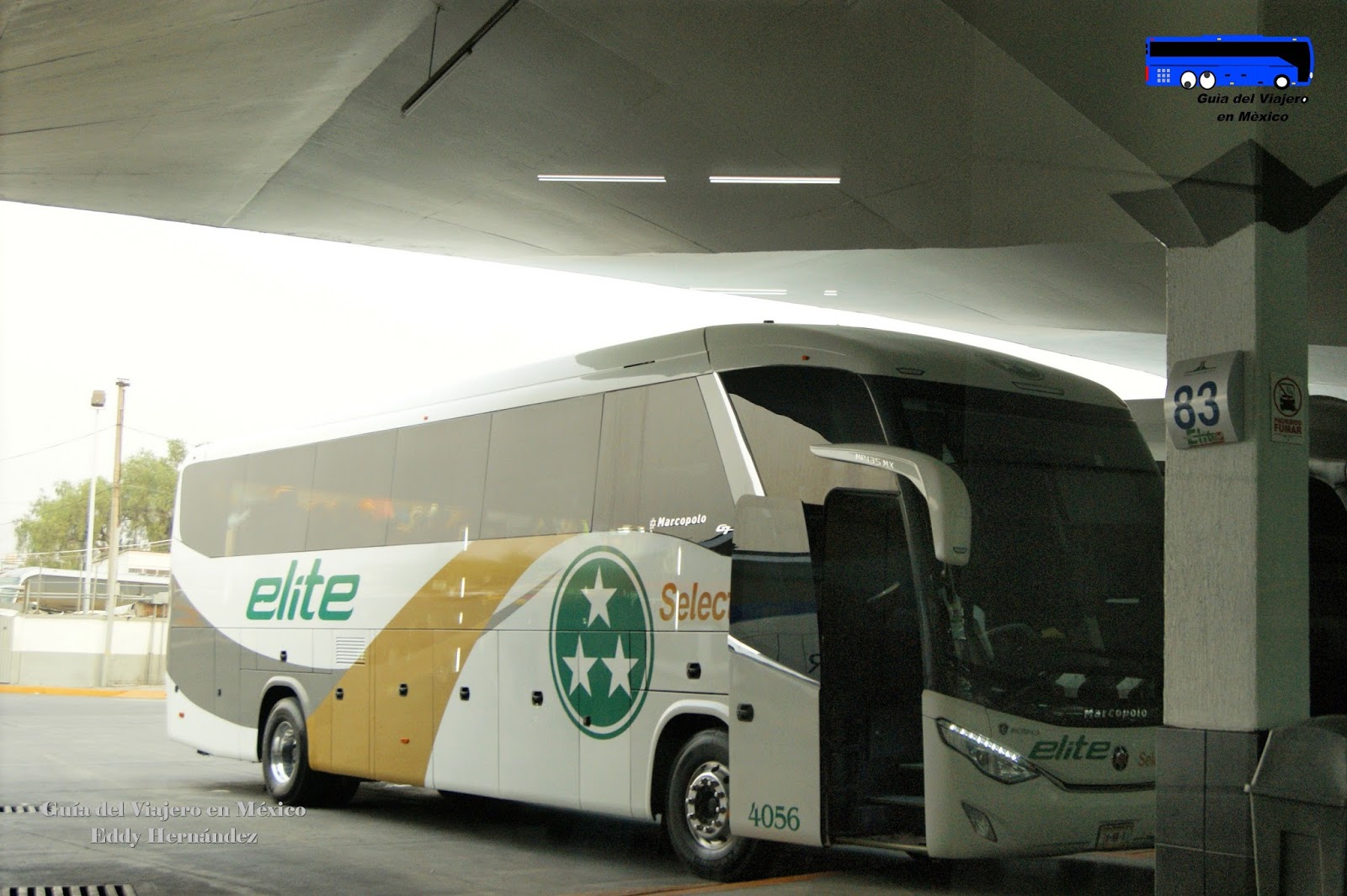 Elite Select, buscando el glamour