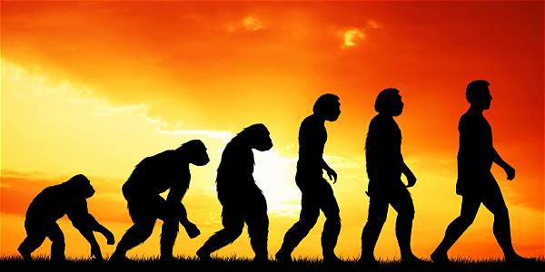 SEXTO GRADO GRUPO "D".: LOS PRIMEROS SERES HUMANOS.