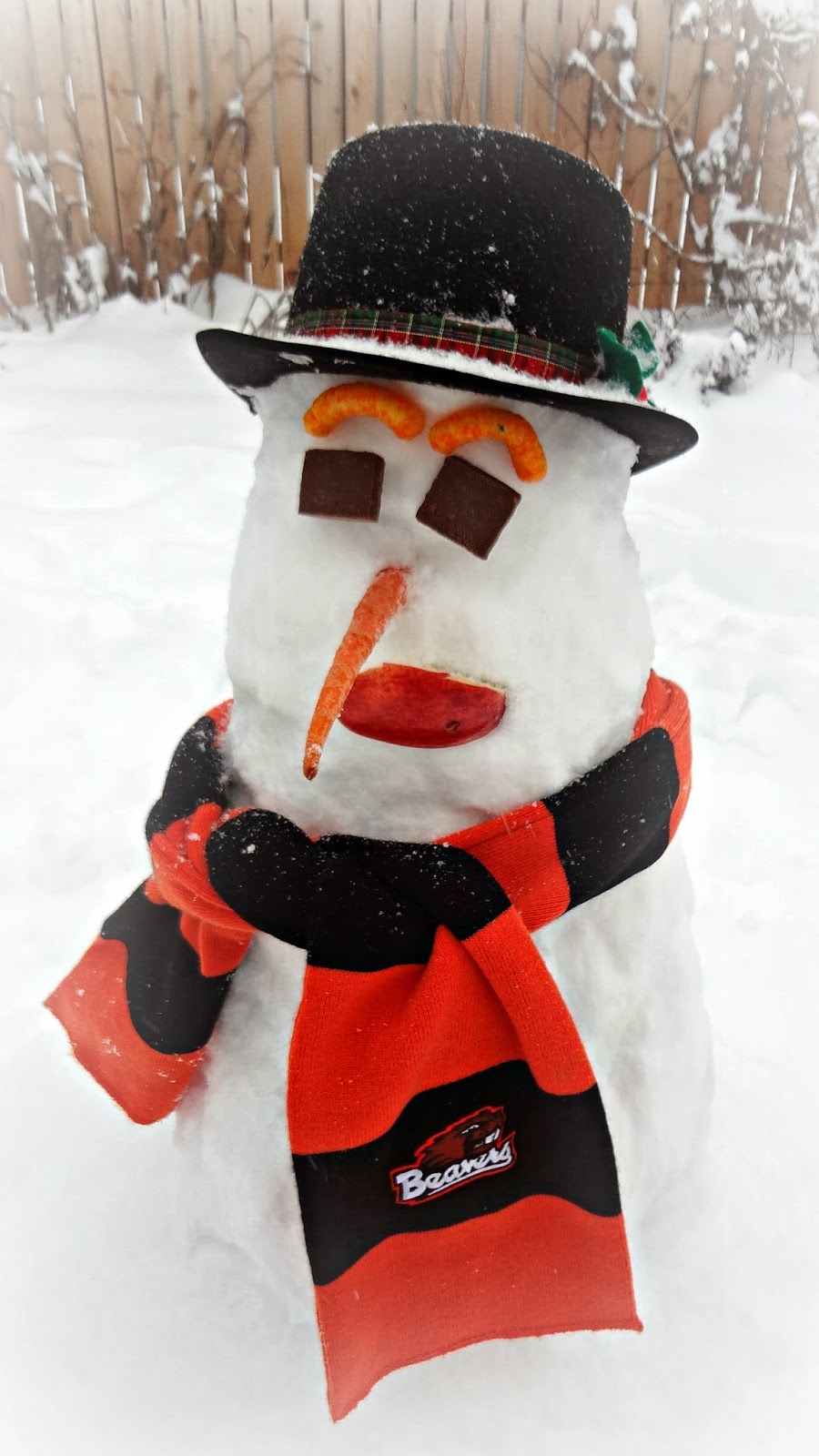 For the love of white: Imperfect Angel, Gage, and Snow!