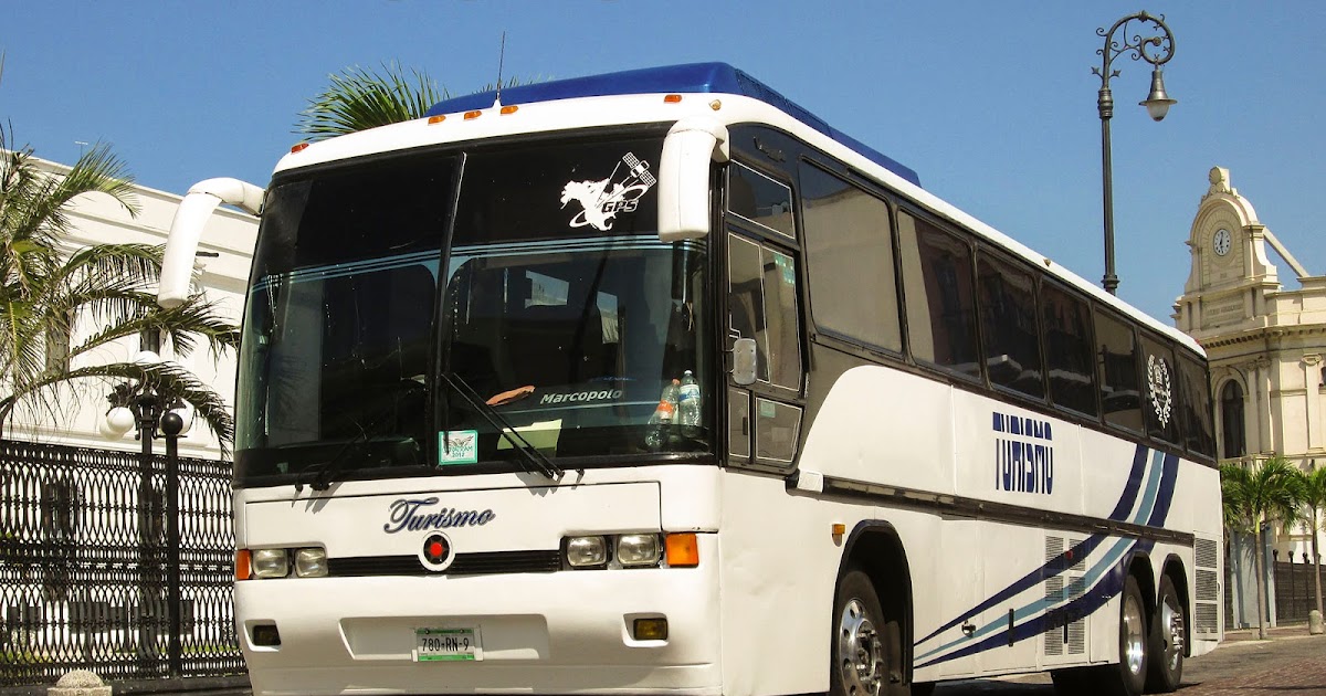 MAXIBUSES: AUTOBUS TURÍSTICO (TURISMO)