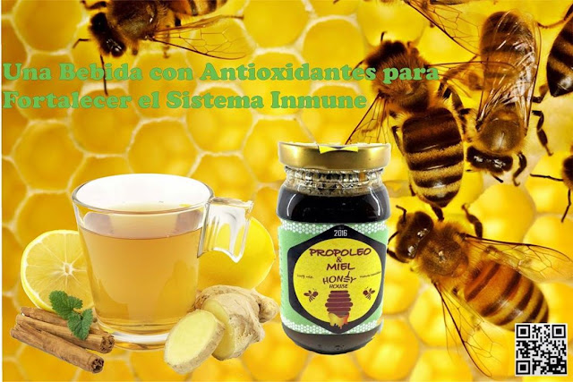 Alimentarte: Beneficios Nutricionales del Propóleo