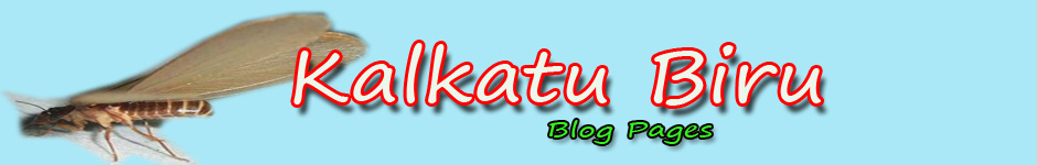 Kalkatu: Komputer