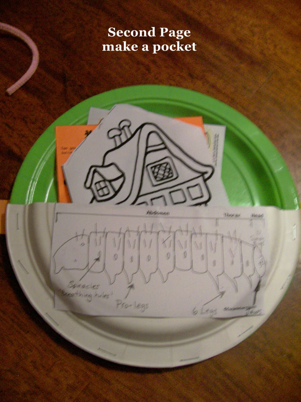 Pauley-Face Farm: Caterpillar Lapbook