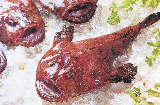 filoftero: ΠΕΣΚΑΝΔΡΙΤΣΑ ΜΕ ΚΑΡΡΥ (Συνταγή του Βασίλη Φραντζολά)