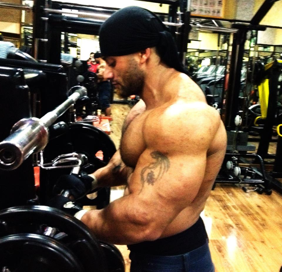 Muscle Lover: Jantee Shaaban