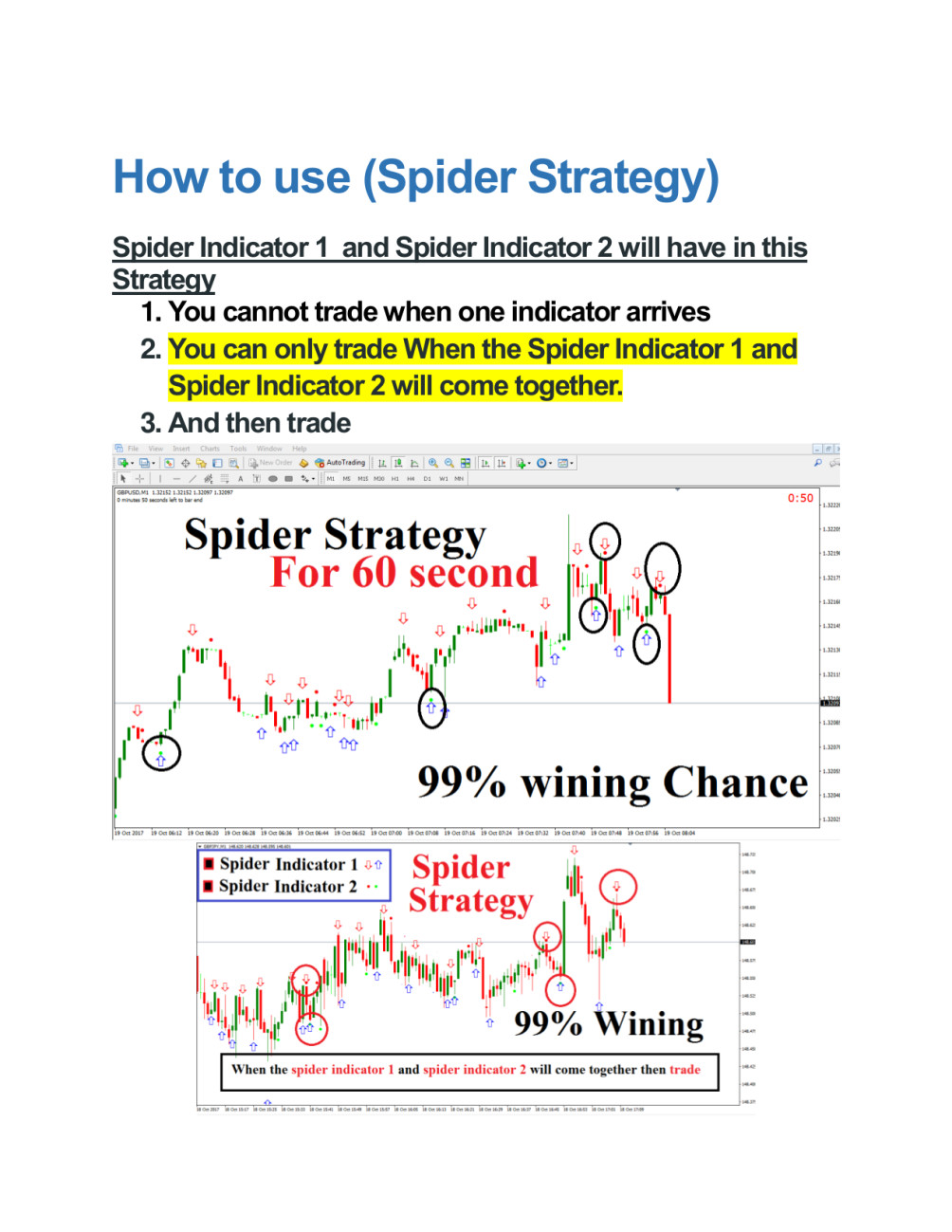 Spider Strategy Binary