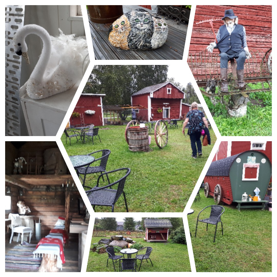 Norra Österbottens Trädgårdssällskap: Dagsresan till Brahestad 2021