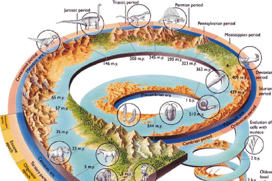 Ciencias Exactas: LA TEORIA ACTUAL DE LA EVOLUCION