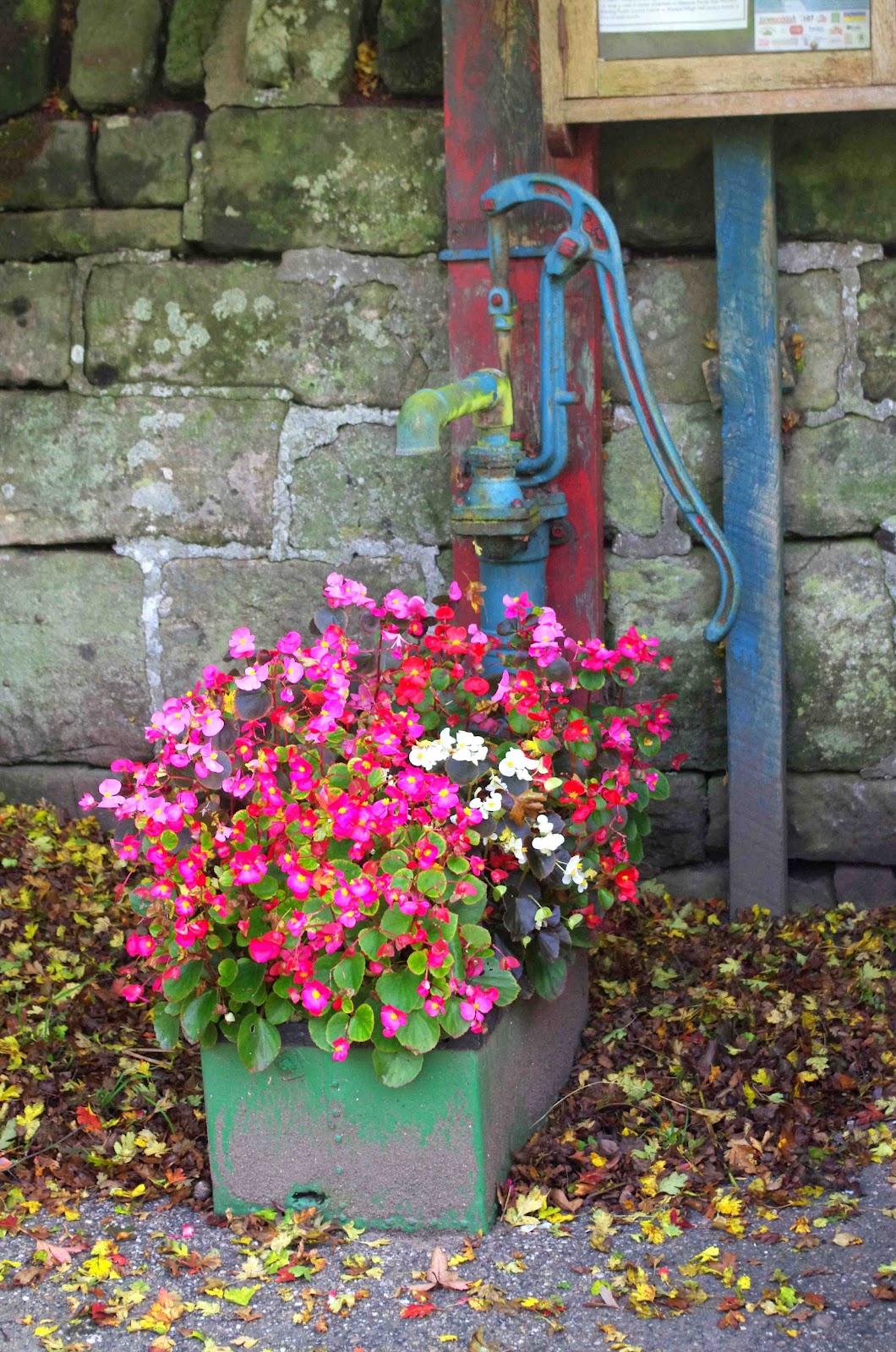 Out & About: Ellastone & Calwich Abbey