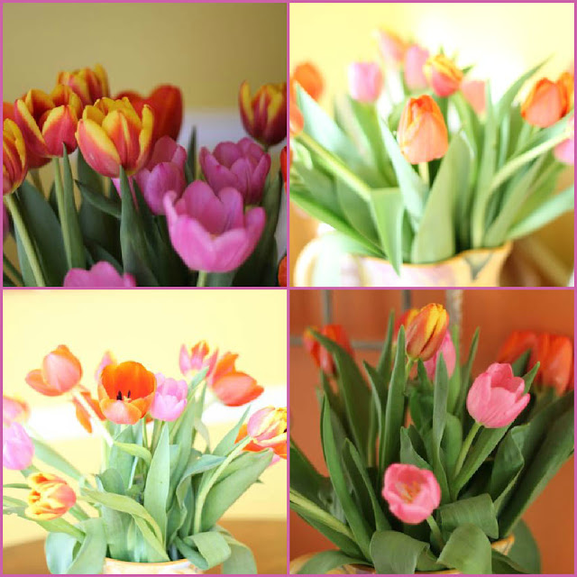 FRIDAY FLOWERS: TULIPS - An Eye For Detail