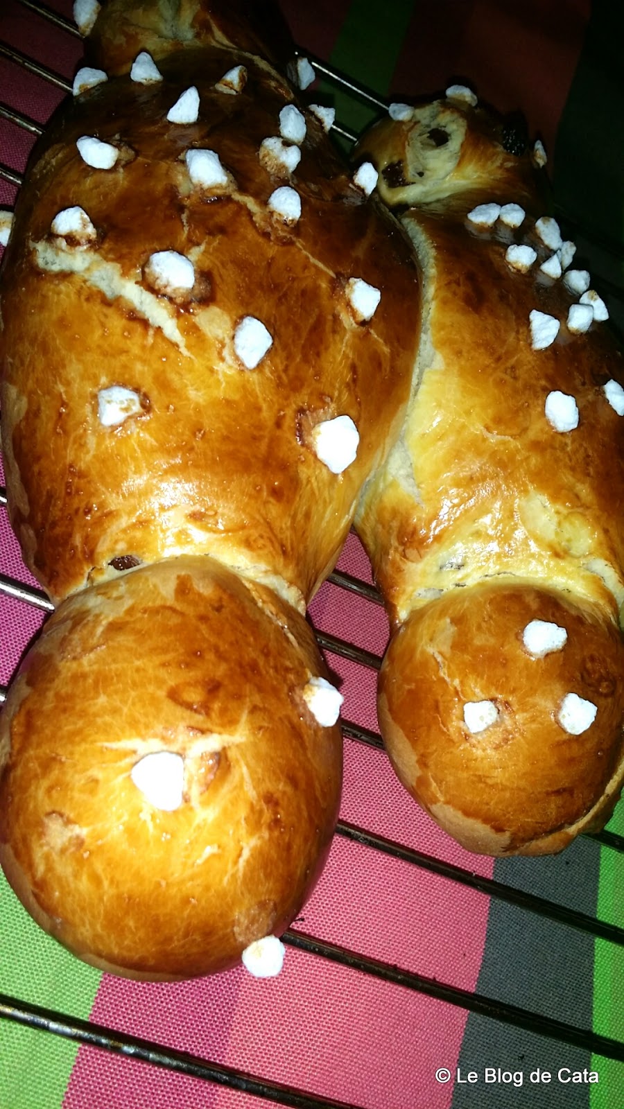 Le blog de Cata: Pain brioché belge - Cougnolle (ou cougnou)