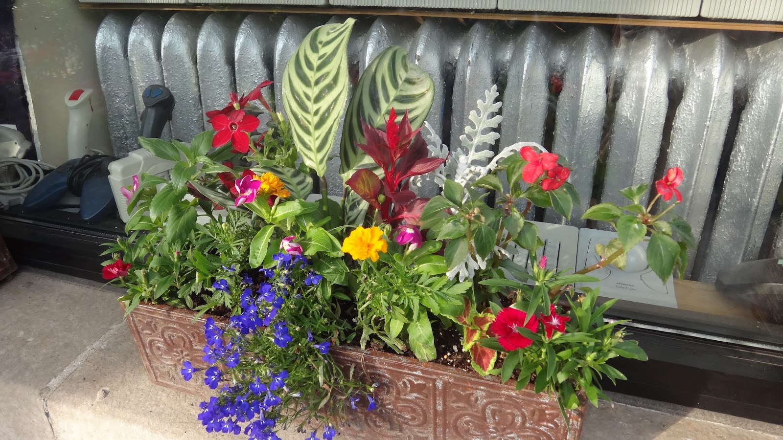 Rogers Park Chamber of Commerce: Tu-Bloom at Quest Network Services