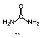 Urea | Uses, Structure, Preparation, & properties