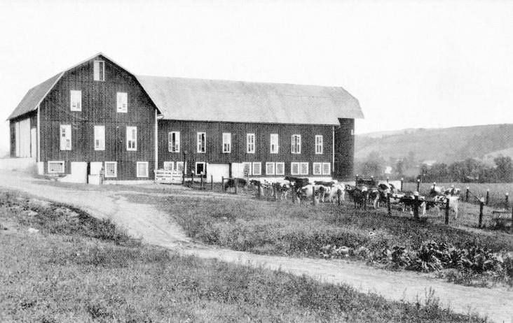 Valley Girl Views: The I.O.O.F Orphanage in Sunbury PA