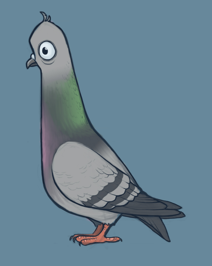 Pigeon Super Short Animation: June 2012