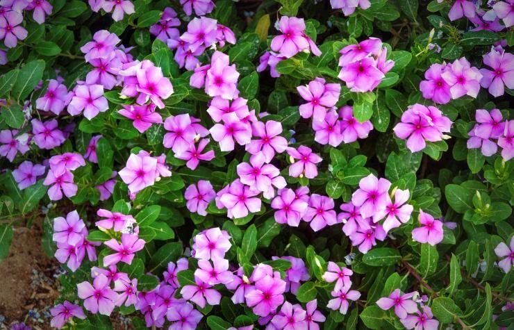 "You are that which you seek"