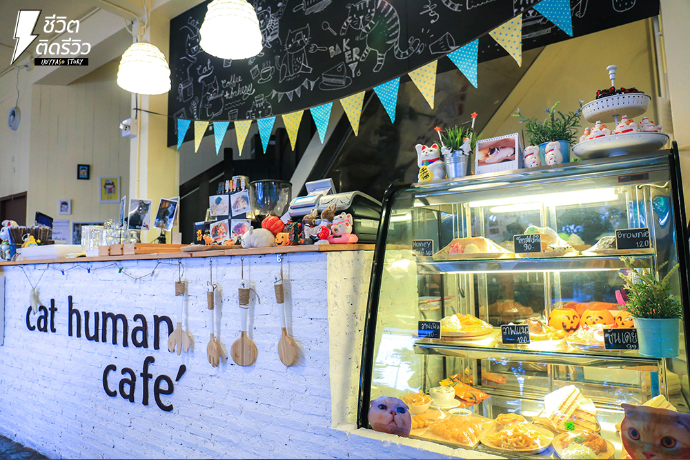 สุดติ่งกระดิ่งแมว กับคาเฟ่น้องเหมียวสุดชิค @CAT HUMAN CAFE - ชีวิตติดรีวิว