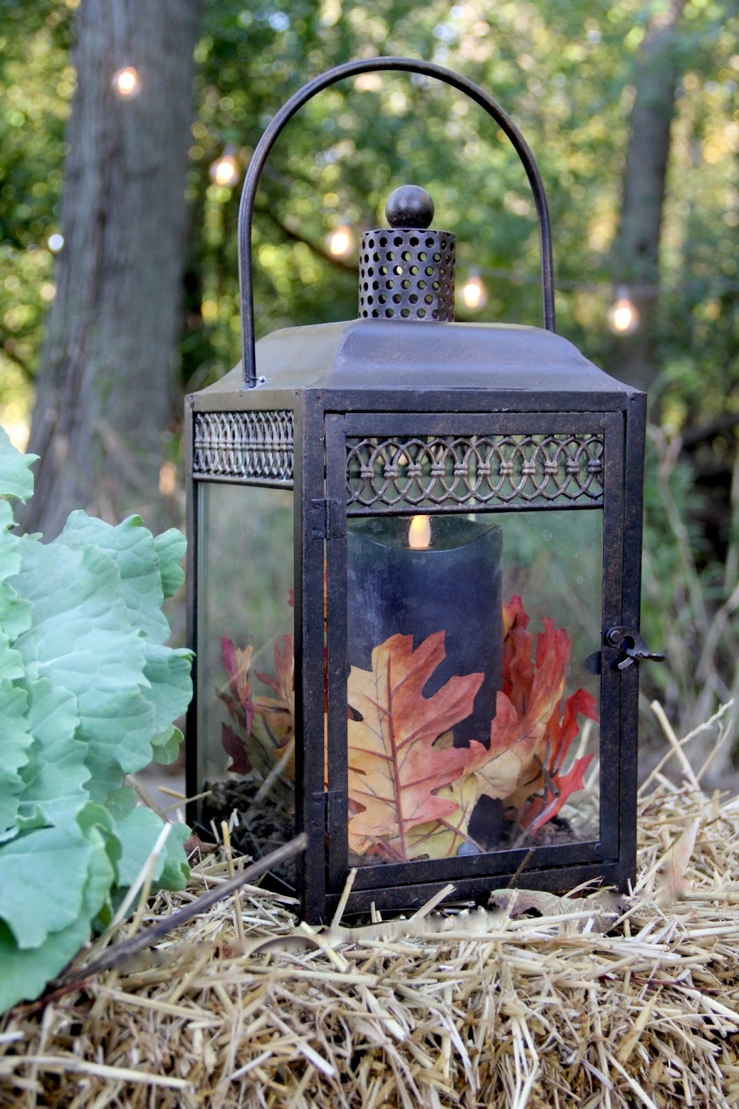 The Yellow Cape Cod: How To Create A Cozy Backyard Fall Fire Pit