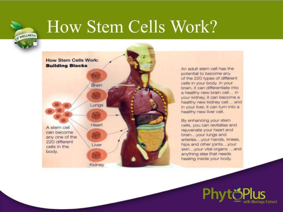 CF Wellness Unlimited: CF WELLNESS PRODUCTS