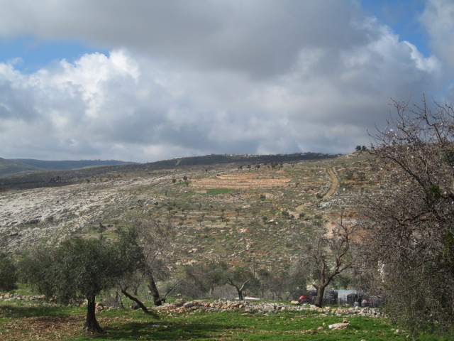 Wine Wonders of the World: TAYBEH RED WINES