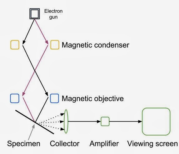 AS Biology: The principles and limitations of transmission and scanning ...