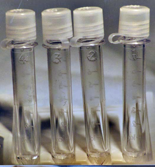 Advanced Maneuvers: On Tap