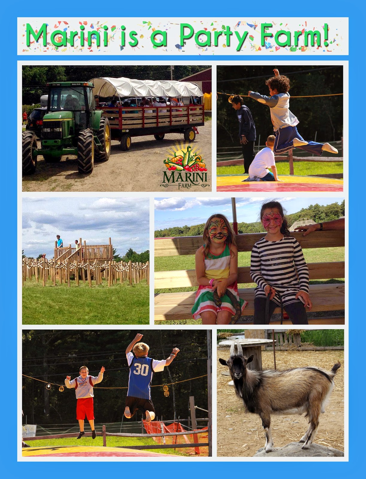 Marini Farm & Corn Maze: August 2014