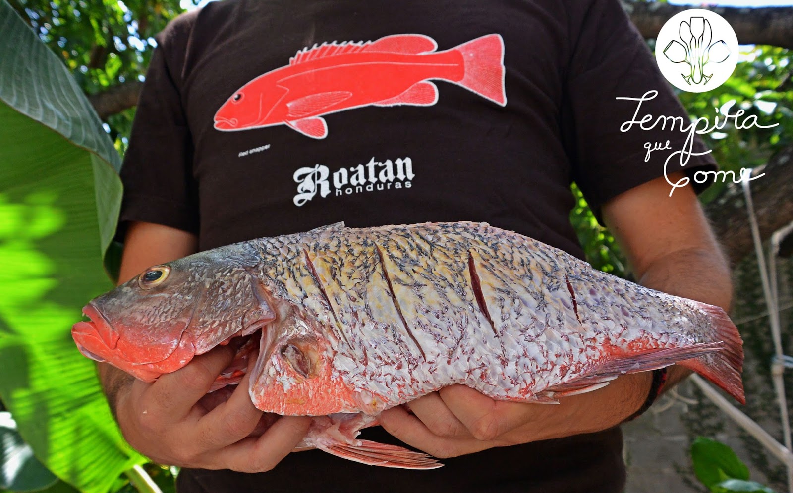 Lempira que Come: Receta: Pargo Rojo (Red Snapper) a la parrilla con un ...