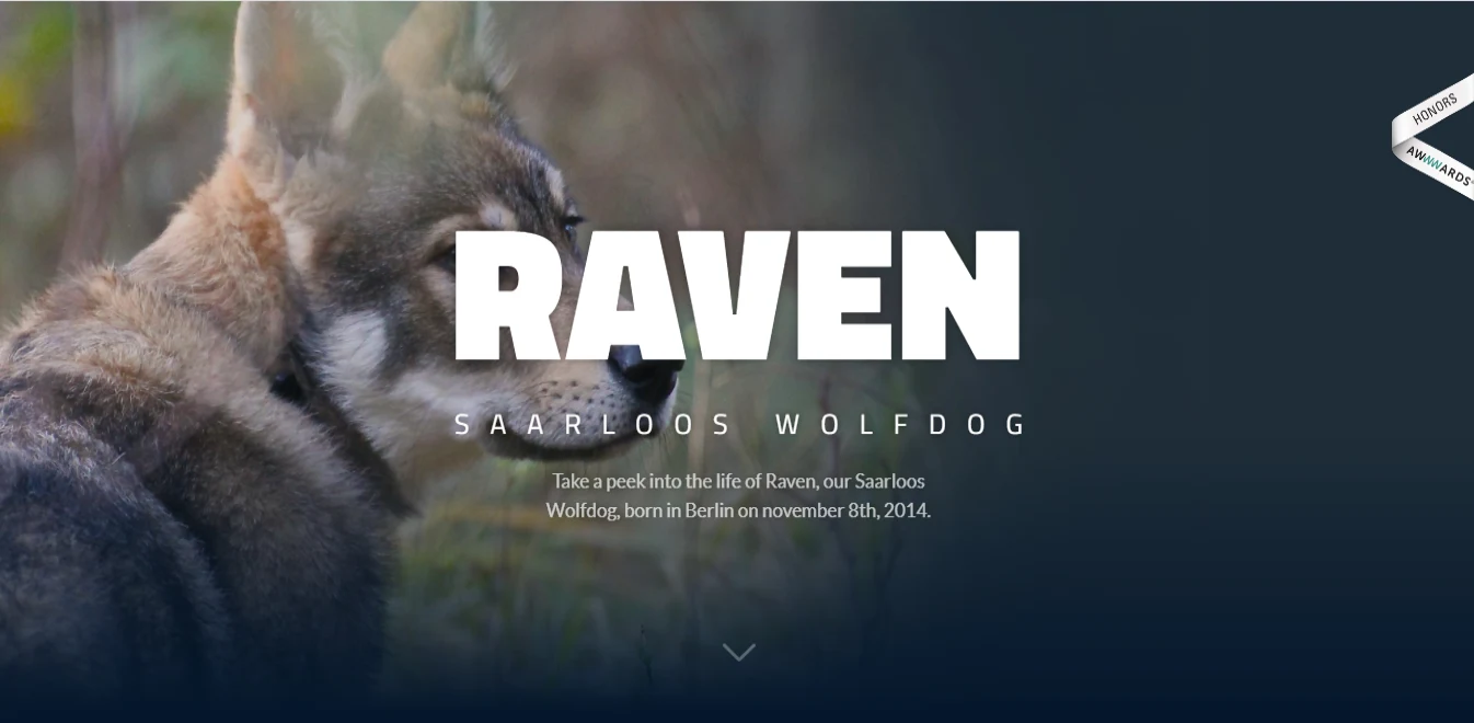 15+ Parallax Scrolling Websites | Rustcode | RUSTCODE 15+ Parallax Scrolling Websites | Rustcode | RUSTCODE