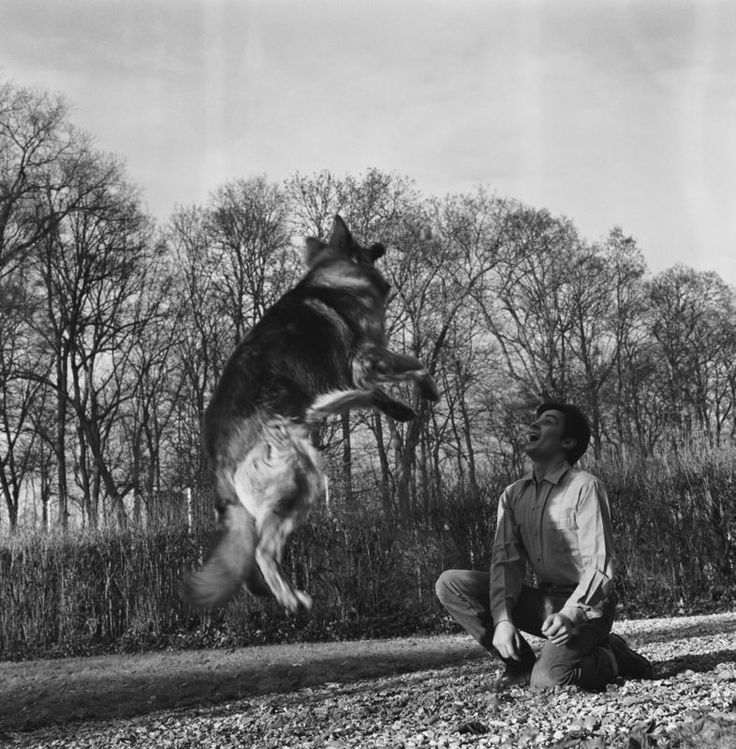 ALAIN DELON: FOTOGRAFÍAS DE WALTER CARONE