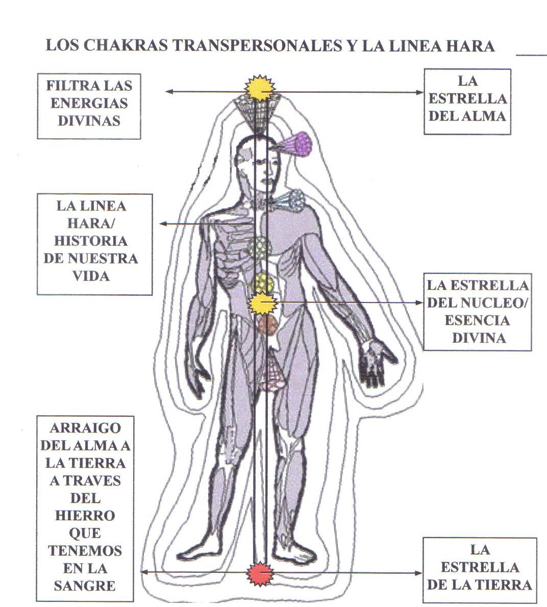 Sistema de Sanación Natural Tinerfe: Función del Chakra Transpersonal ...