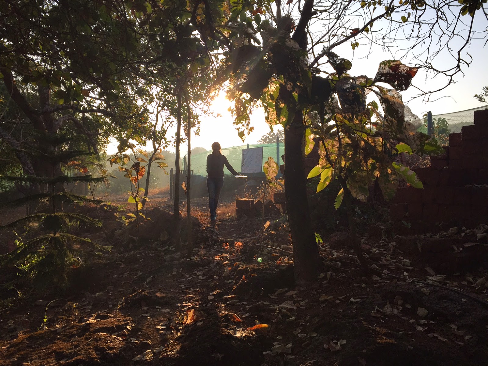 Maharastra Homestays: Review of Aryan Farms | Exotic Homestay | Dapoli