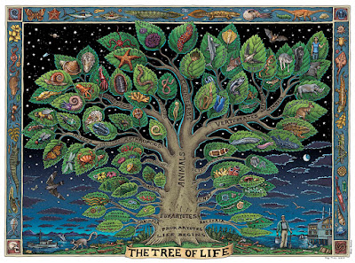 Tree of Life Meaning | Symbolism, Religion, Mythology