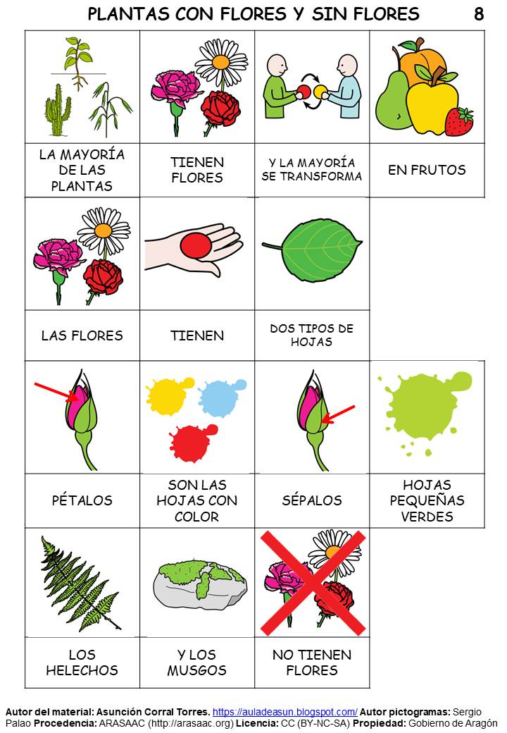 AUDICIÓN Y LENGUAJE: VOCABULARIO DE NATURALES: 2º EP Las plantas