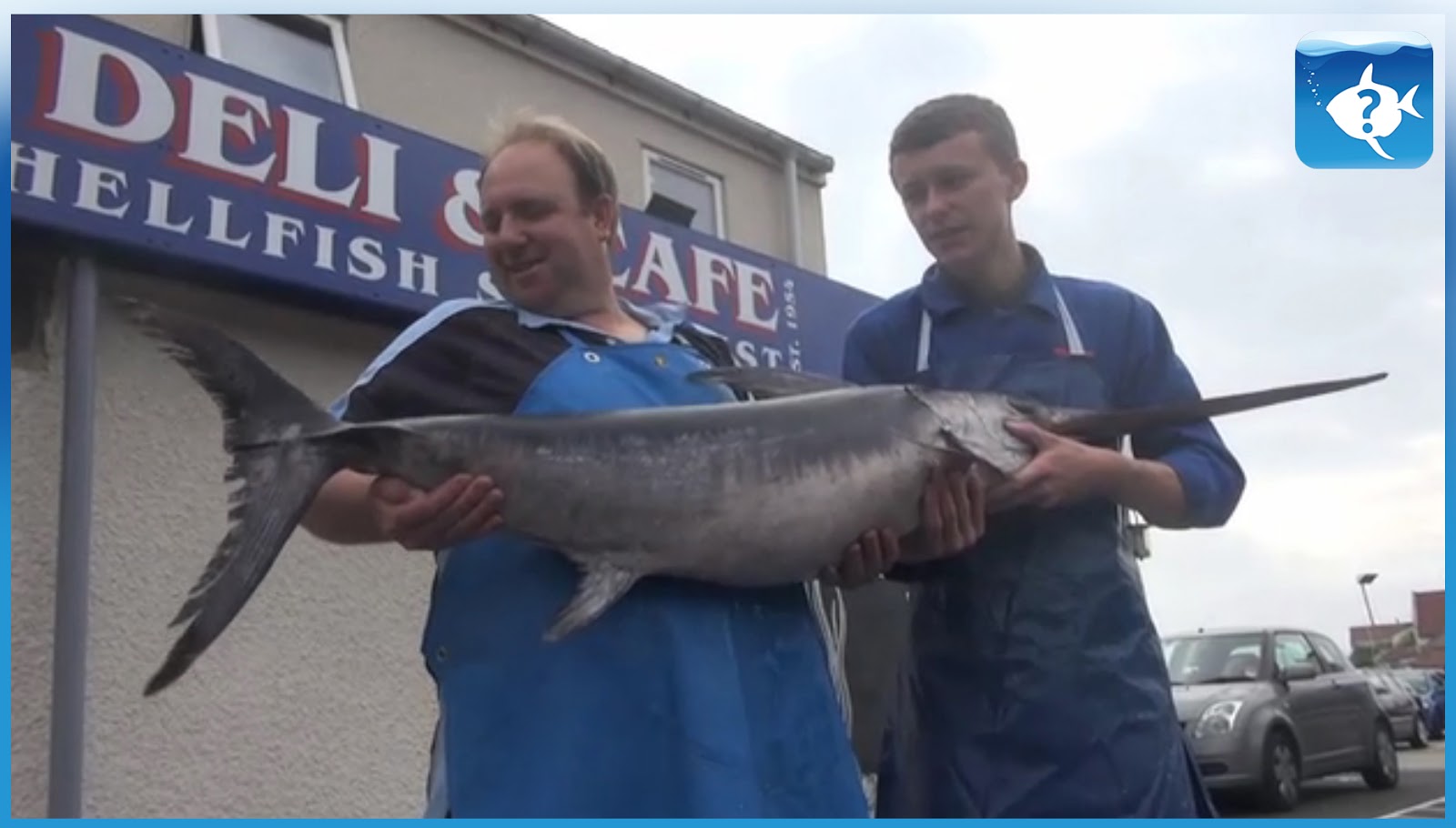 What Fish UK Smartphone App: Swordfish caught in the UK!