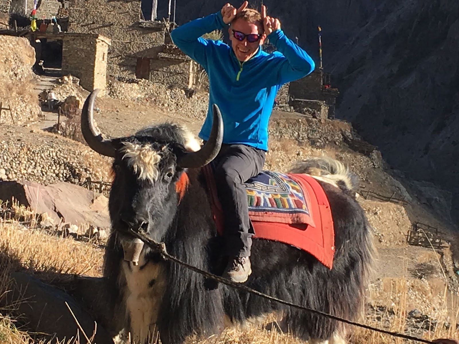 Chase The Rainbow: Yak Attack - The Essentials (2018 onwards)