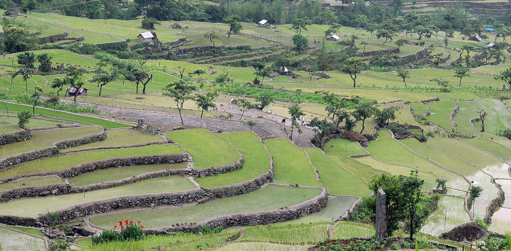 Agriculture in Nagaland
